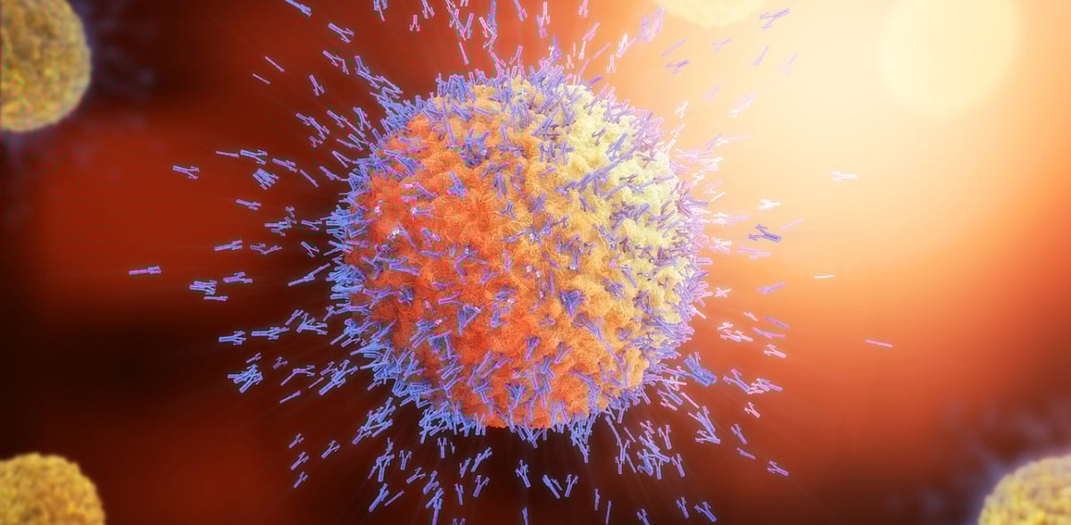 How long does immunity last after recovering from Covid-19?