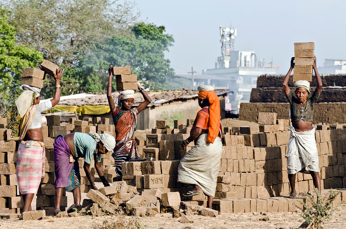 Five labour surveys including on migrants, domestic workers to begin ...