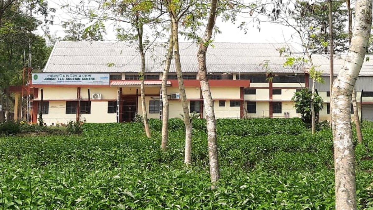 Special e-auction helps Assam tea growers get better price amid Covid-19