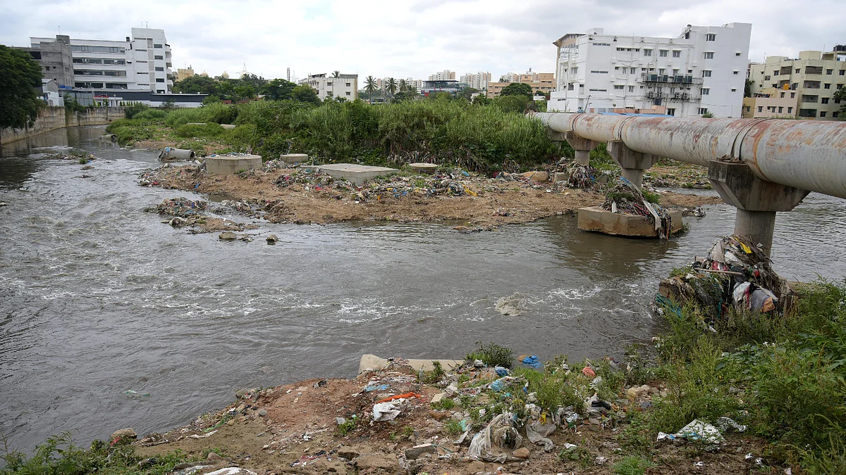 Vrishabhavathi river