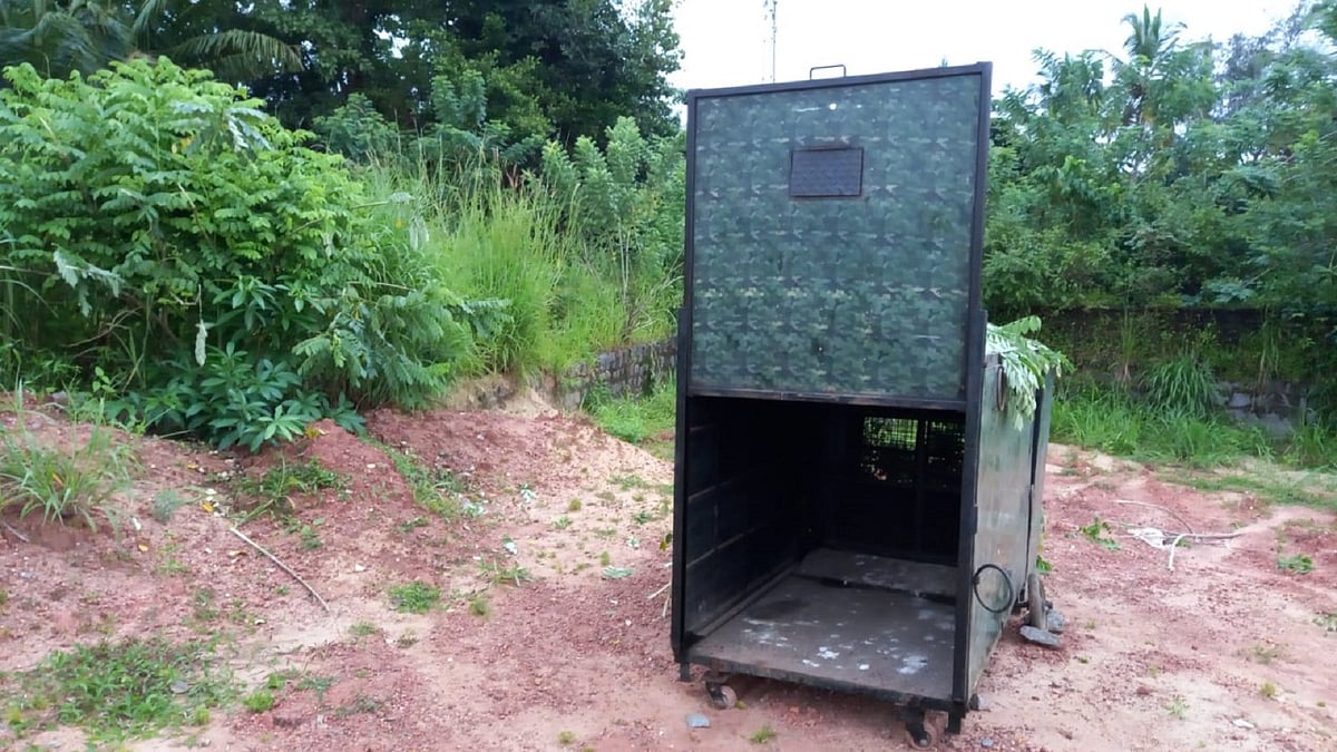 Cage, camera trap placed to catch leopard in Mangaluru