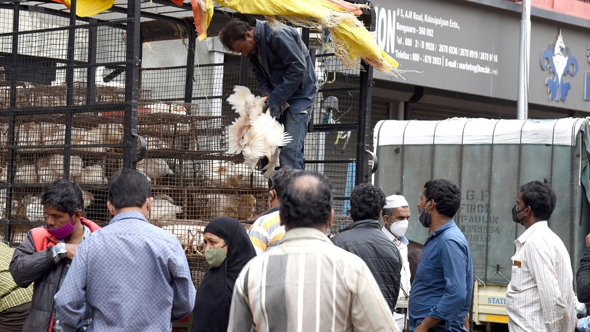 Low consumption, high poultry death jack up chicken prices in Bengaluru