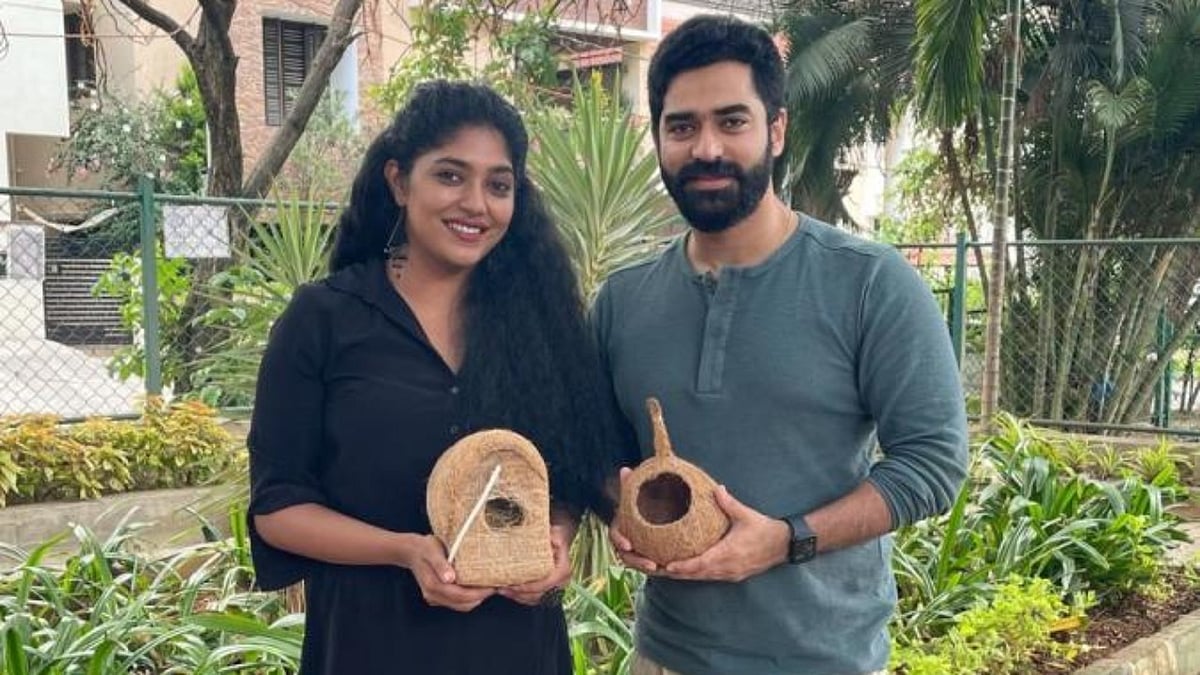 NGO distributes nest boxes, aims to lure back birds