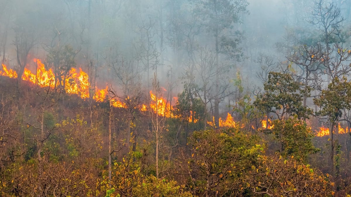 Air support called to douse forest fire in northwest Pakistan