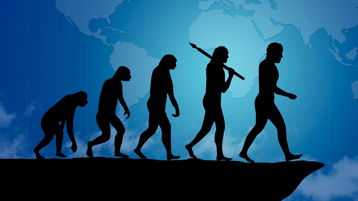 Revelations from 17-million-year-old ape teeth could lead to new ...