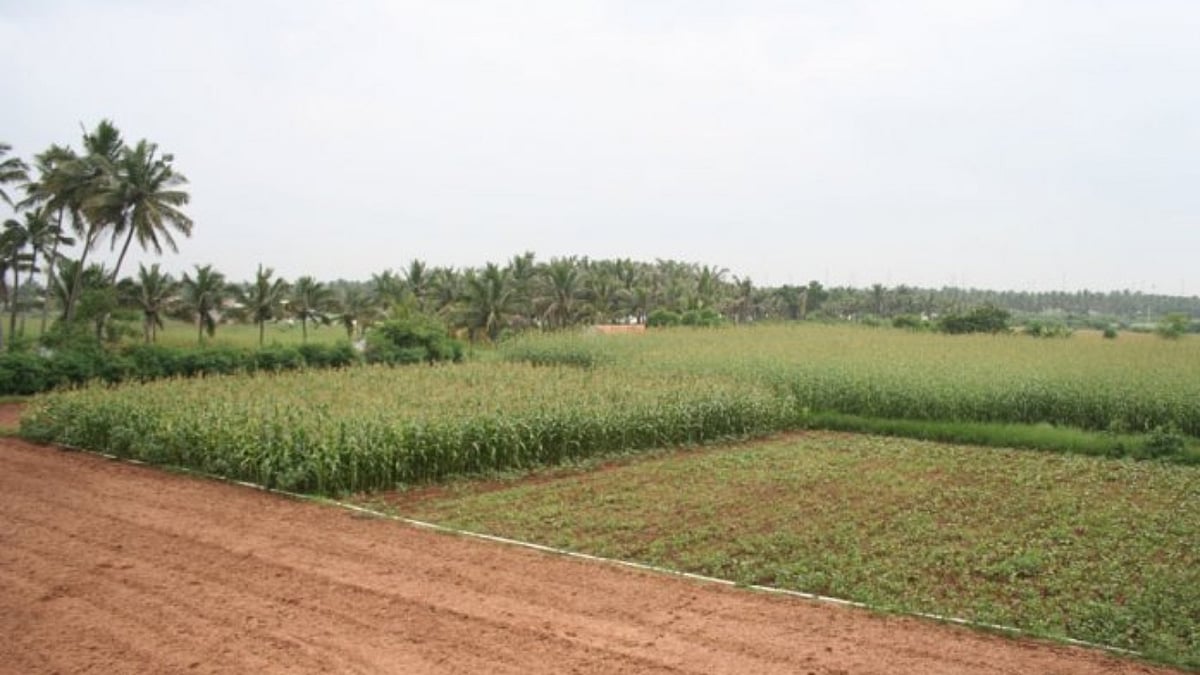 Updated e-aasthi to help get e-khata for land in Mangaluru in 7-10 days