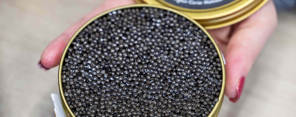 France bets on tech and transparency to beat Chinese caviar