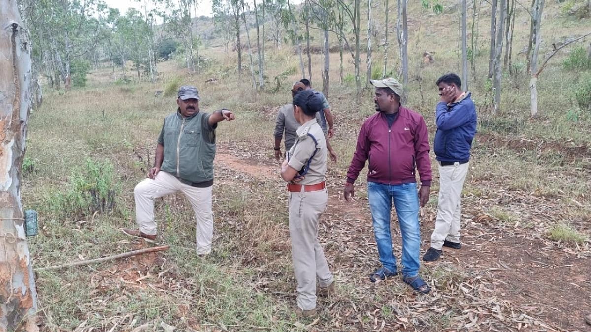 Forest dept to install more camera traps to trace leopard