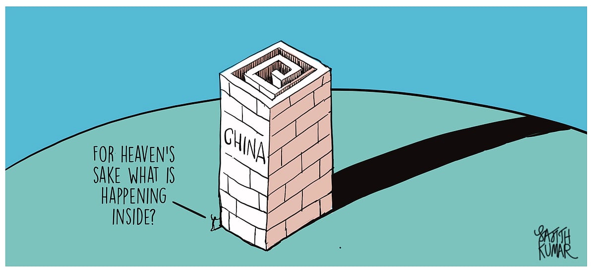 DH Toon | What's happening inside China?