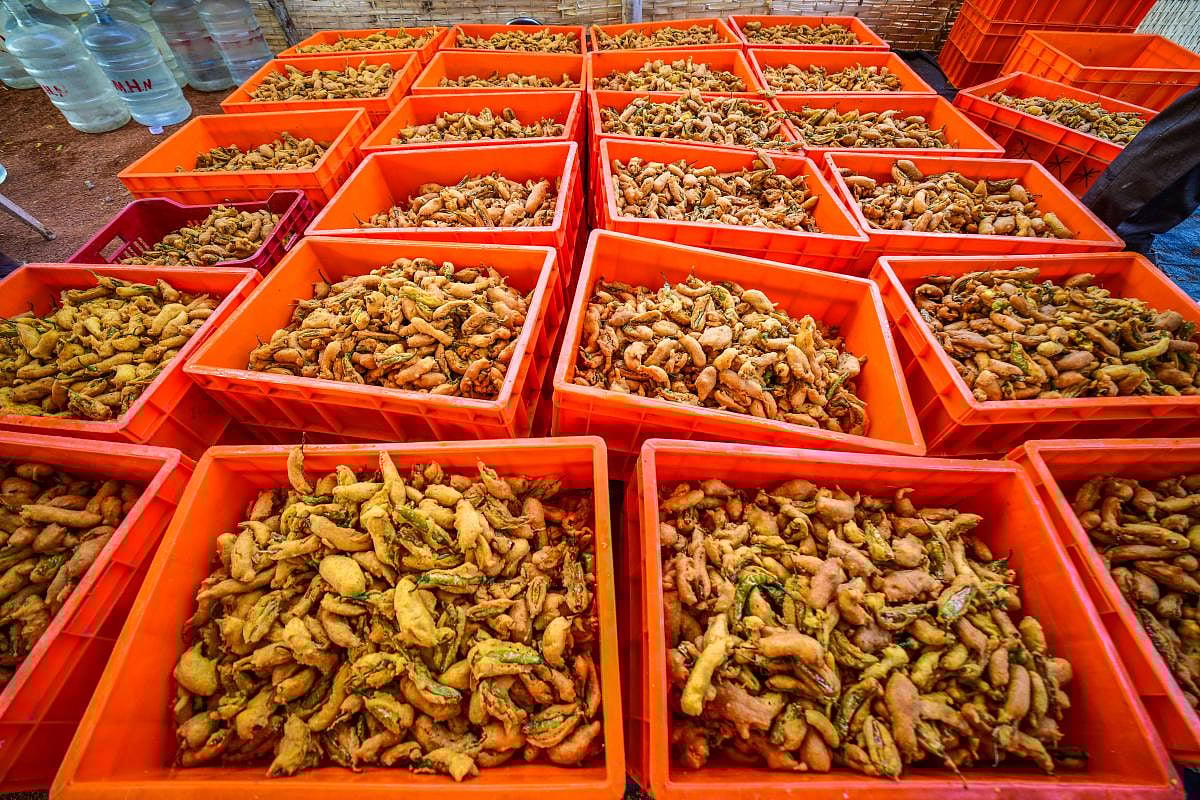 Festivals of colour and culture of Karnataka