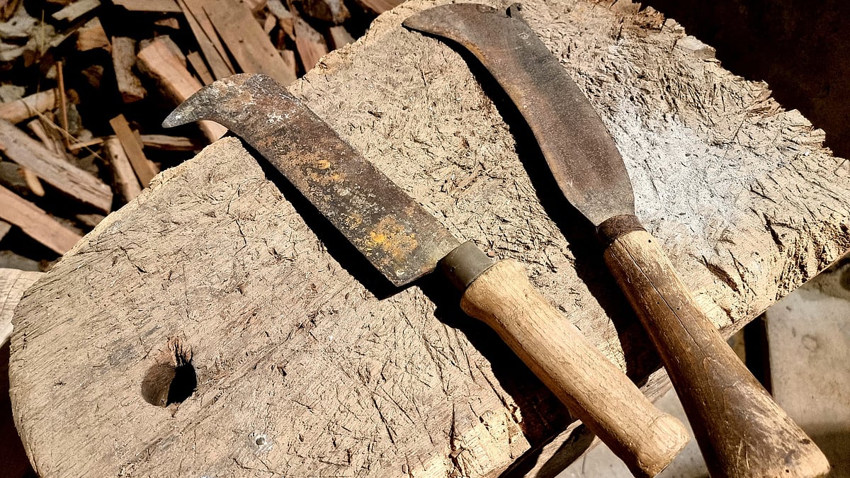 Maharashtra: Showing Aadhaar mandatory to buy 'koyta' in Pune in wake ...