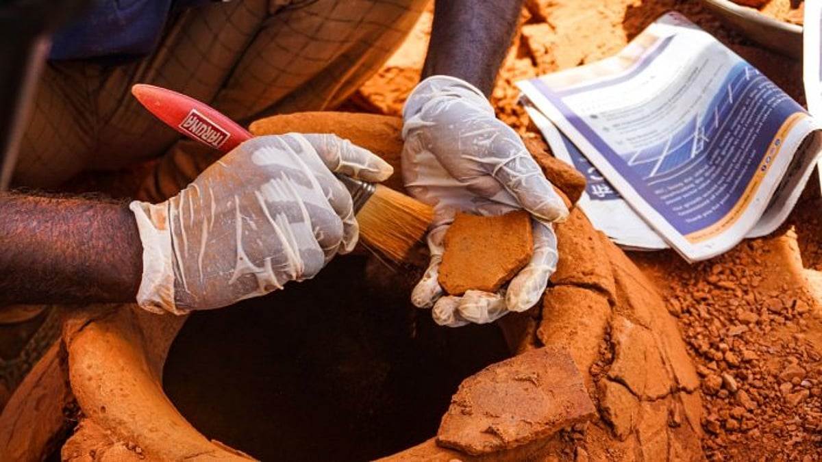 Harvard Team Helps Tamil Nadu Lab With Ancient Dna Extraction And Analysis