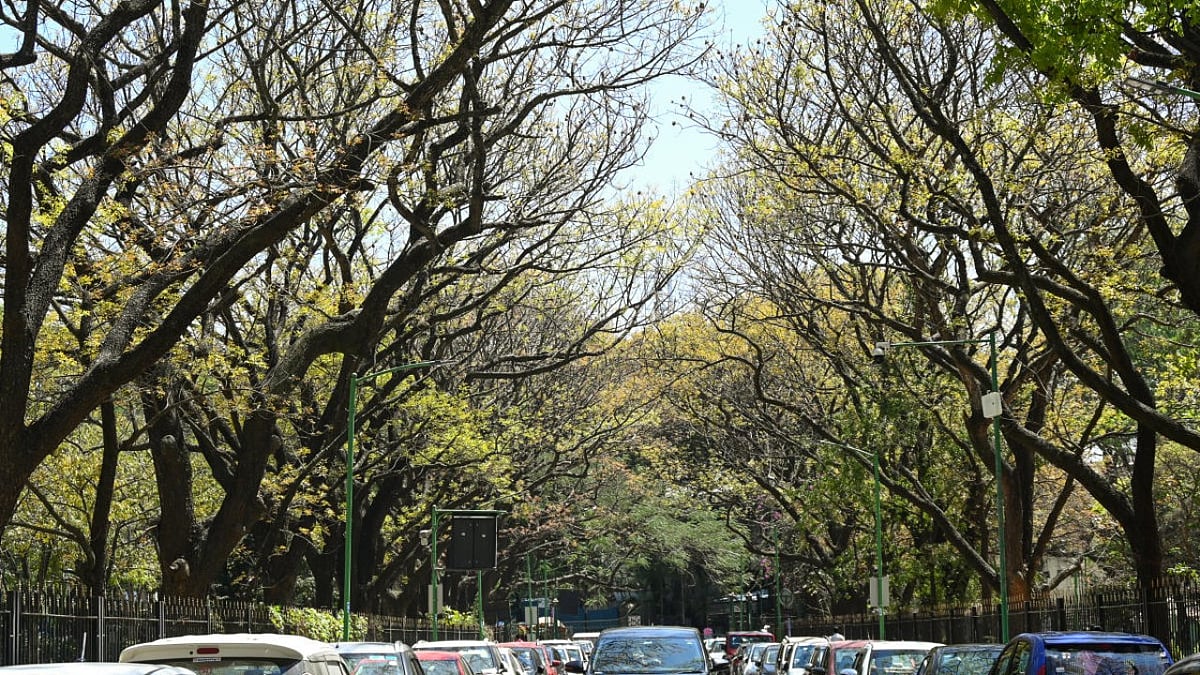 Cubbon Park through the ages