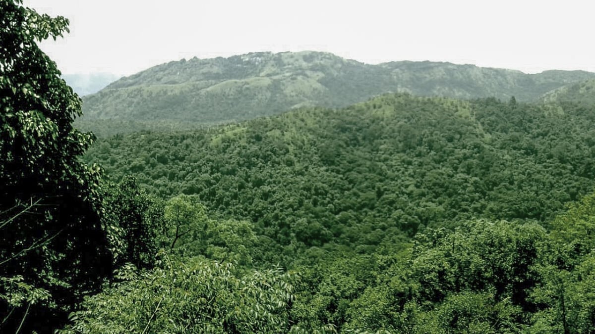 Karnataka: Dept issues norms to protect deemed forests