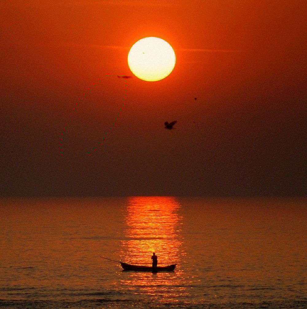 2012-12-31 Photo gallery