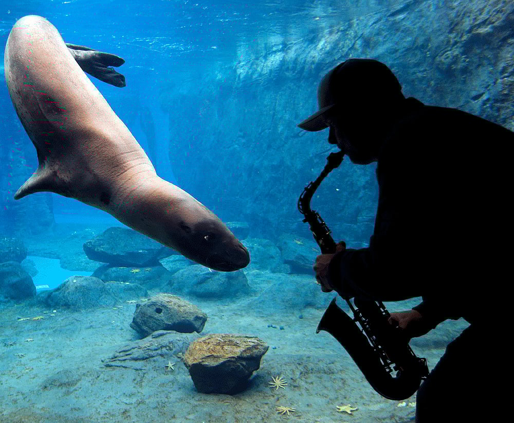 2013-08-19 Photo gallery