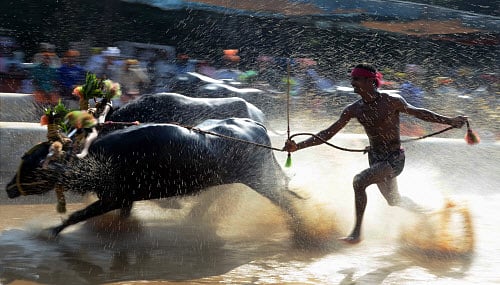 2014-01-12 Photo gallery