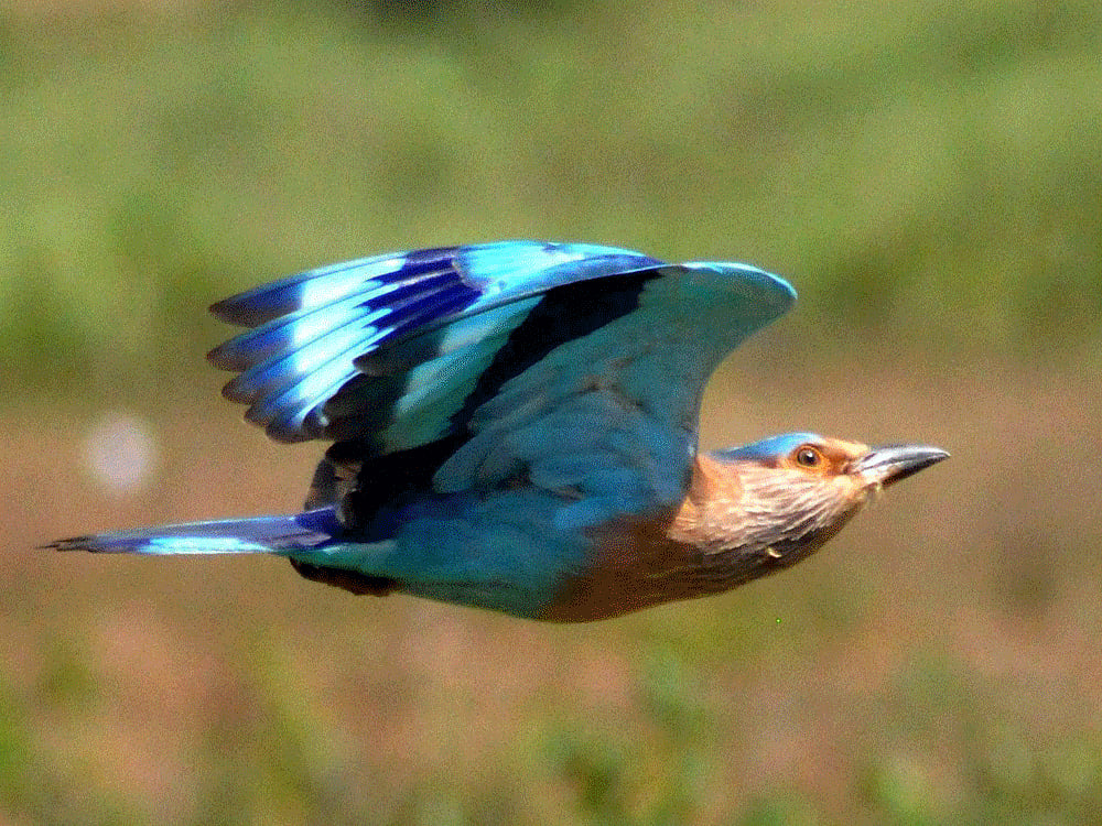 2015-11-26 Photo gallery