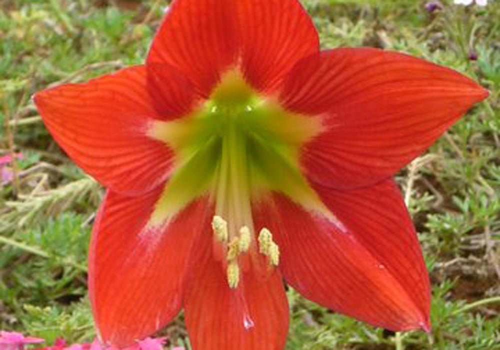 2016-04-11 Photo gallery