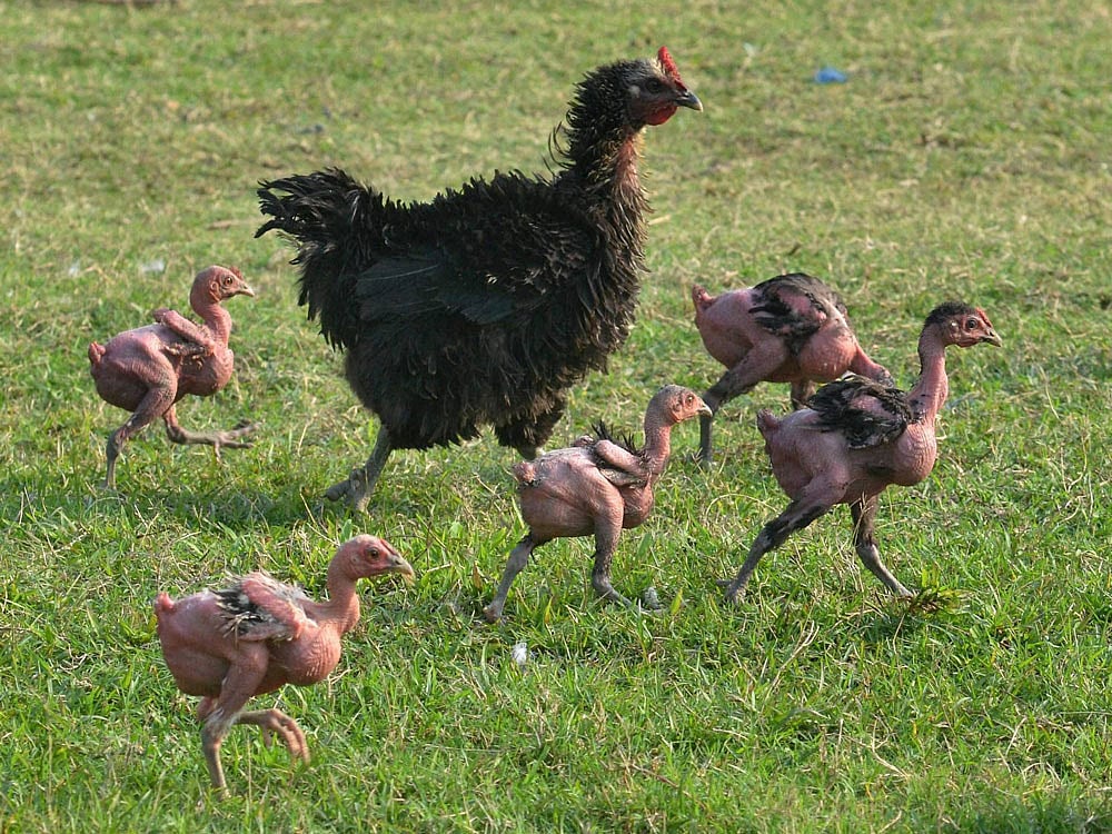 2016-05-03 Photo gallery