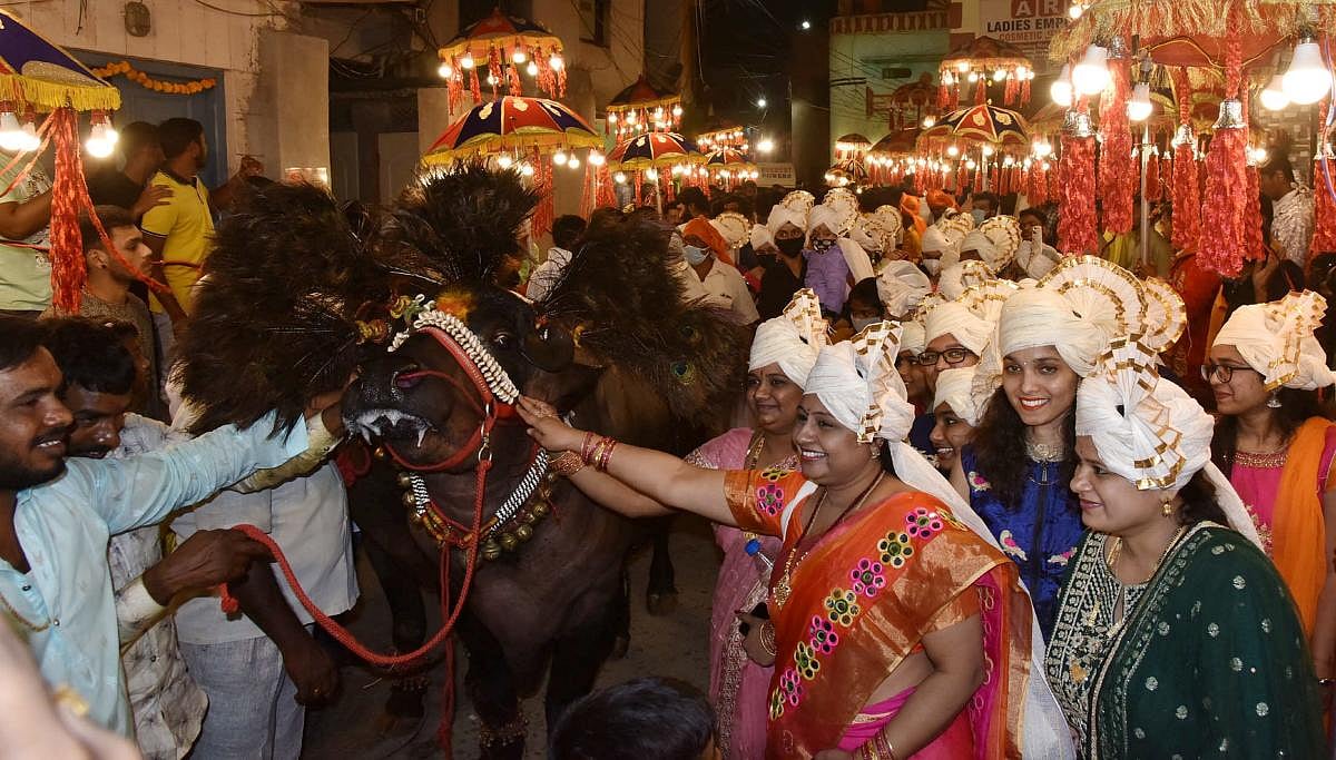 News in Pics, November 16: Best photos from around the world