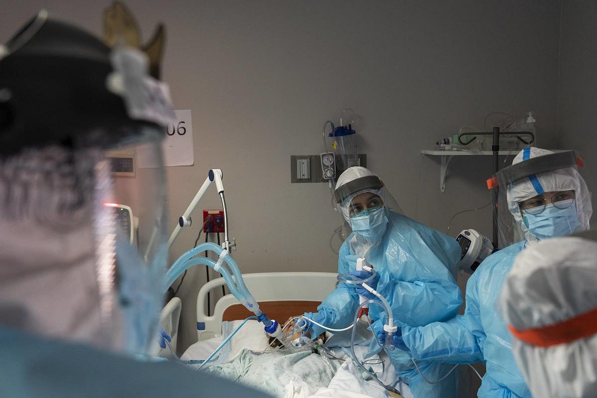 News in Pics, December 23: Best photos from around the world