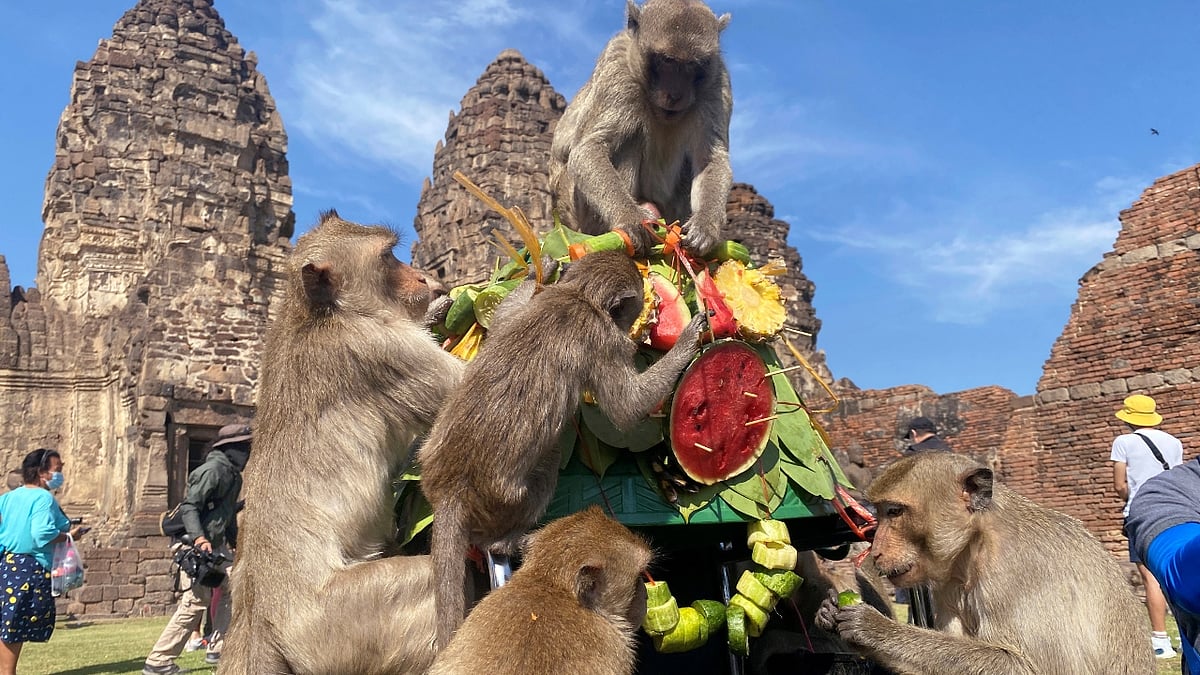 Thailand monkey festival returns after 2 year hiatus