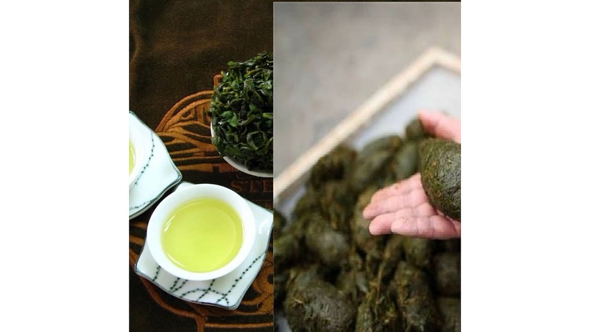 In Pics | World's weirdest tea you didn't know people drink