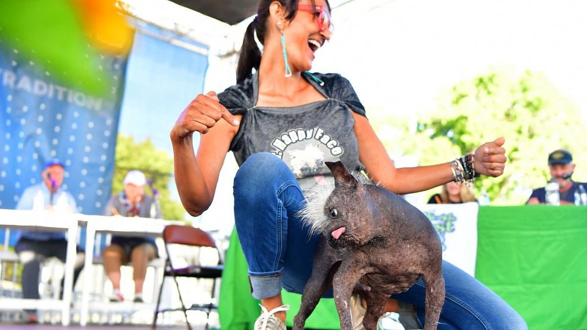 In Pics | Meet Mr Happy Face, world's 'ugliest dog'