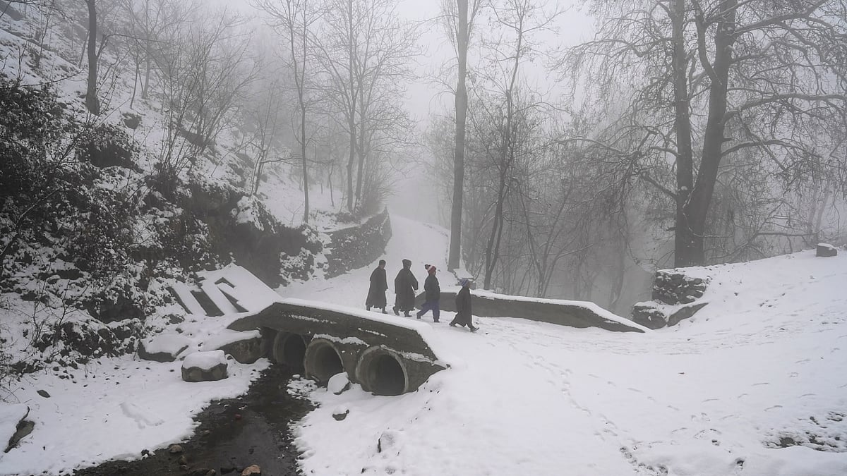 Srinagar sees season's first snowfall, tourists rejoice
