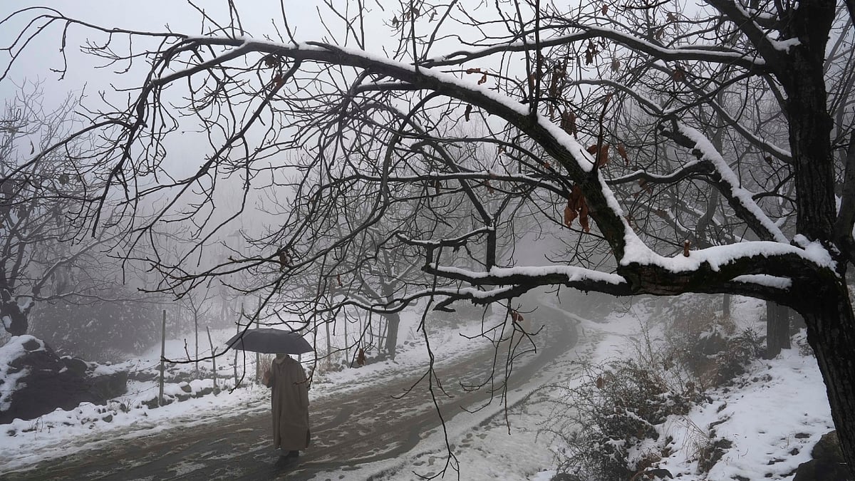 Srinagar sees season's first snowfall, tourists rejoice