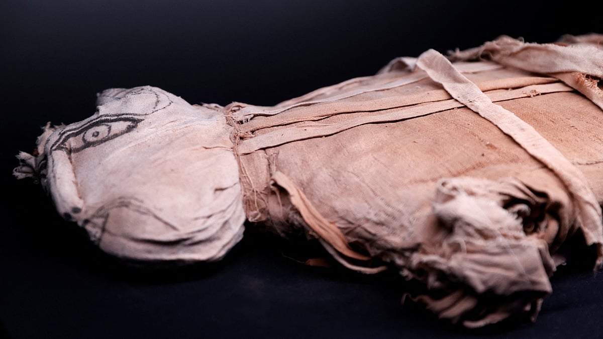 Paris: Coffin of Pharaoh Ramses II unveiled; see pics