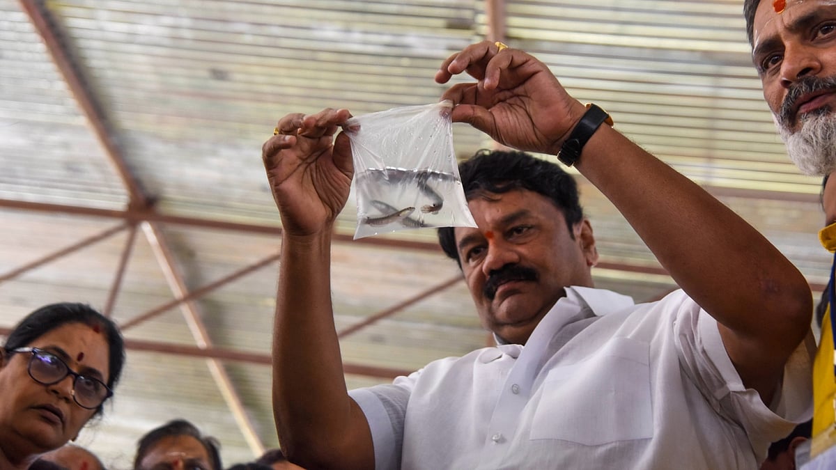 Hyderabad's 'fish prasadam' back after three years; thousands queue up ...