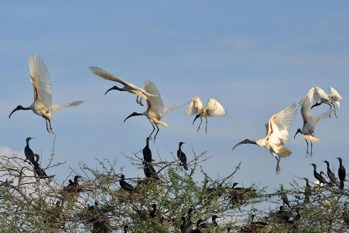 This reservoir is a haven for birds
