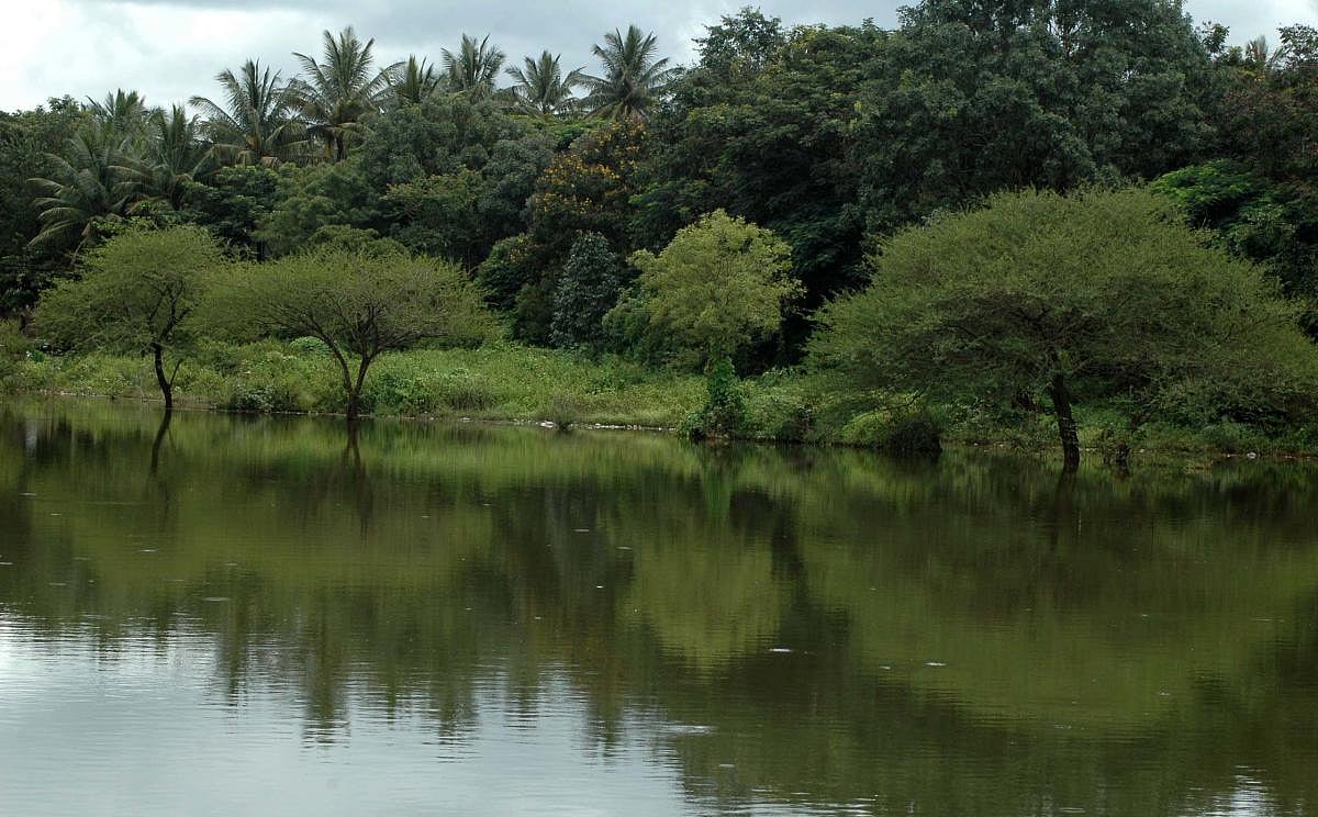 Where literary flag flies high