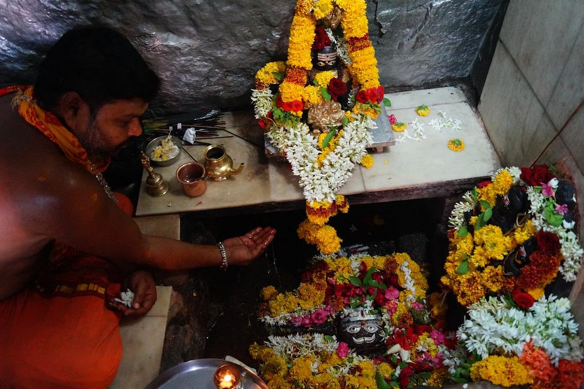 Spring in the mountains