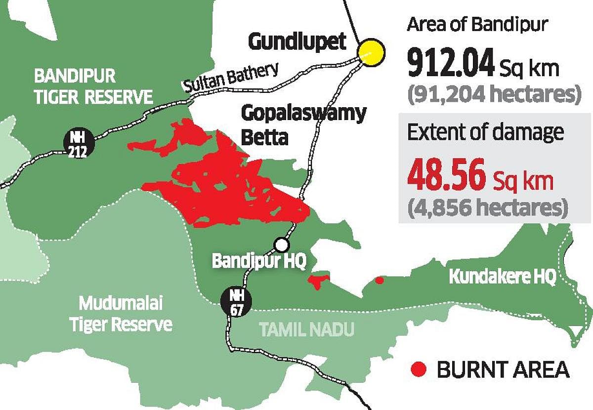 Laxity led to Bandipur forest loss of 12K acres