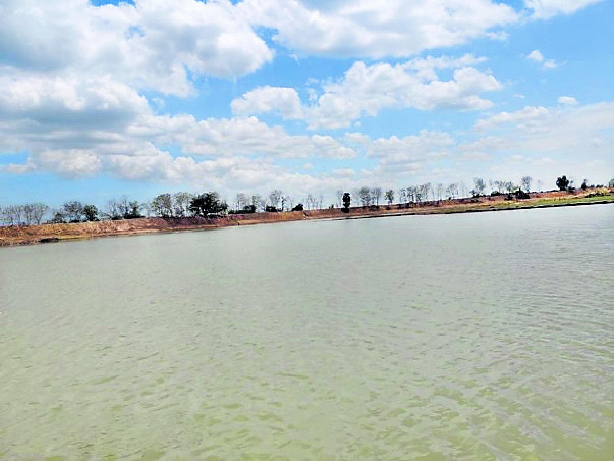 Quitting his job, youth helps restore lake