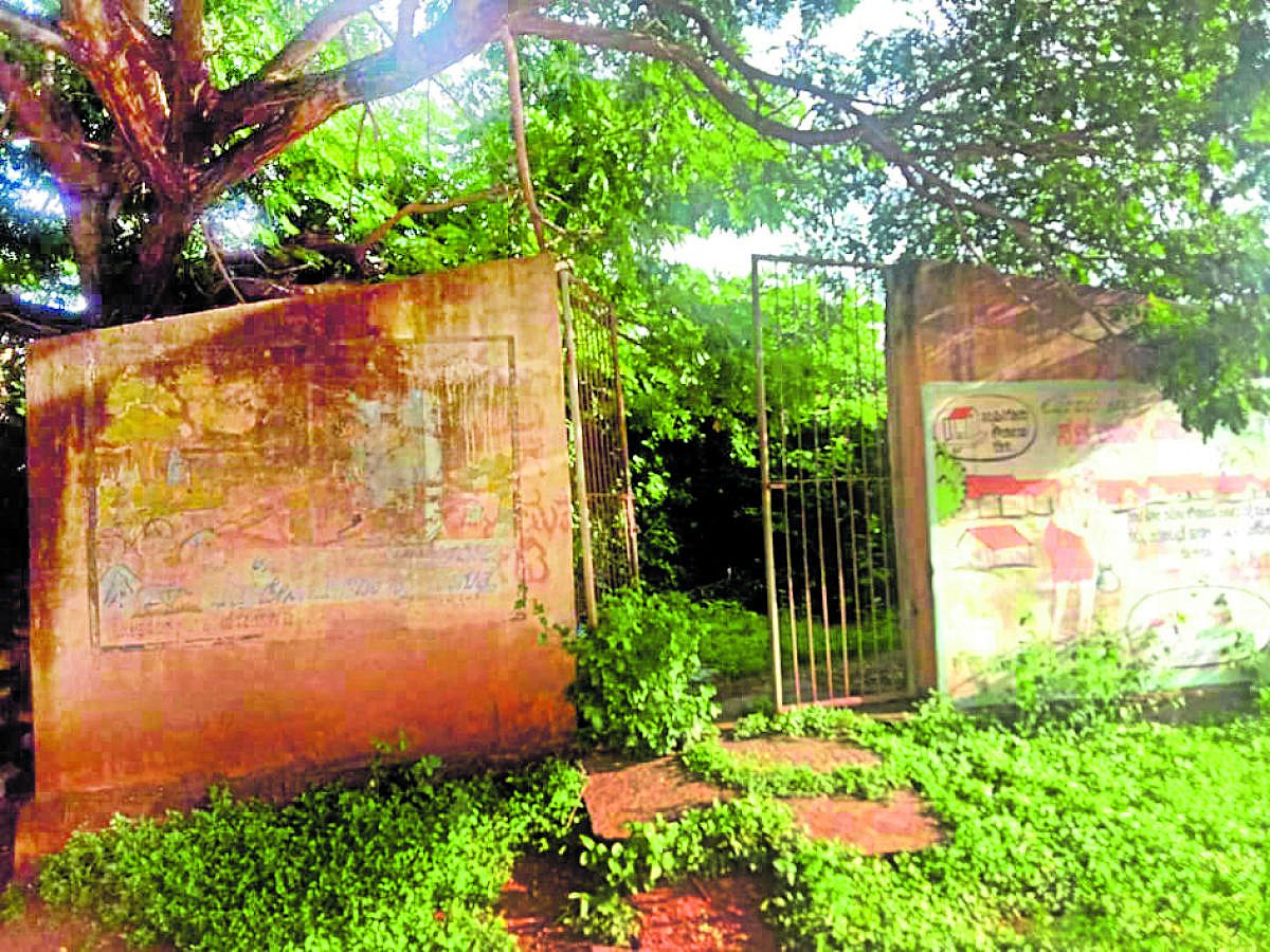 here-cattle-shed-is-used-for-conducting-post-mortem