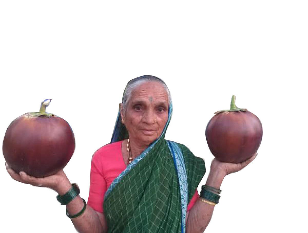 The return of desi brinjal