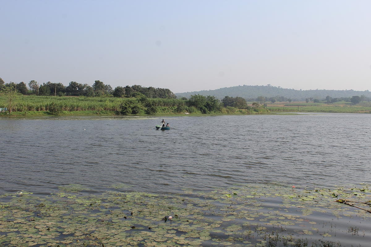Revival of Haliyal's lakes