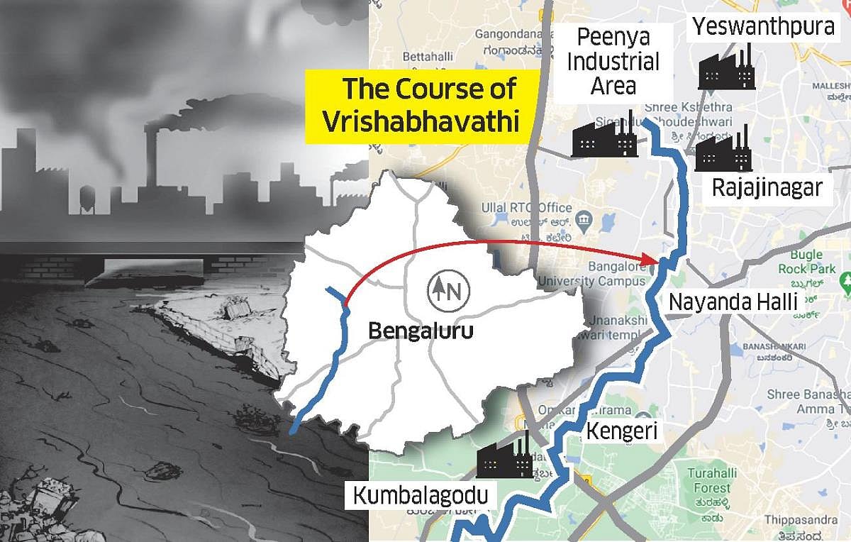 Bringing a river back to life