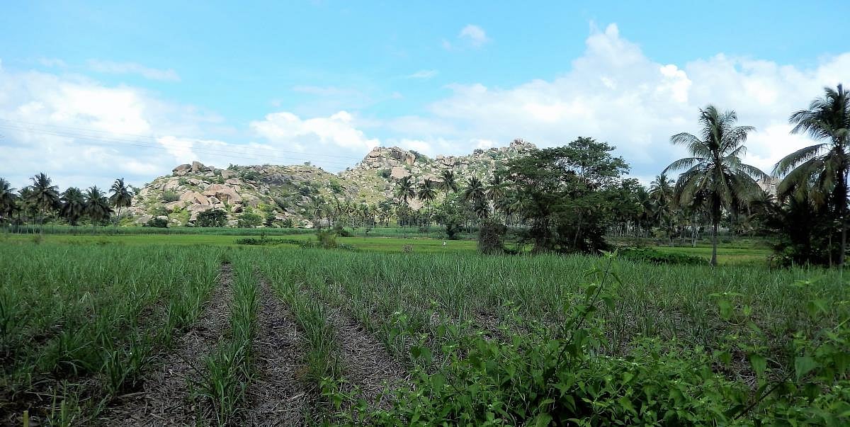 History and myth pervade the trek up Kunti betta