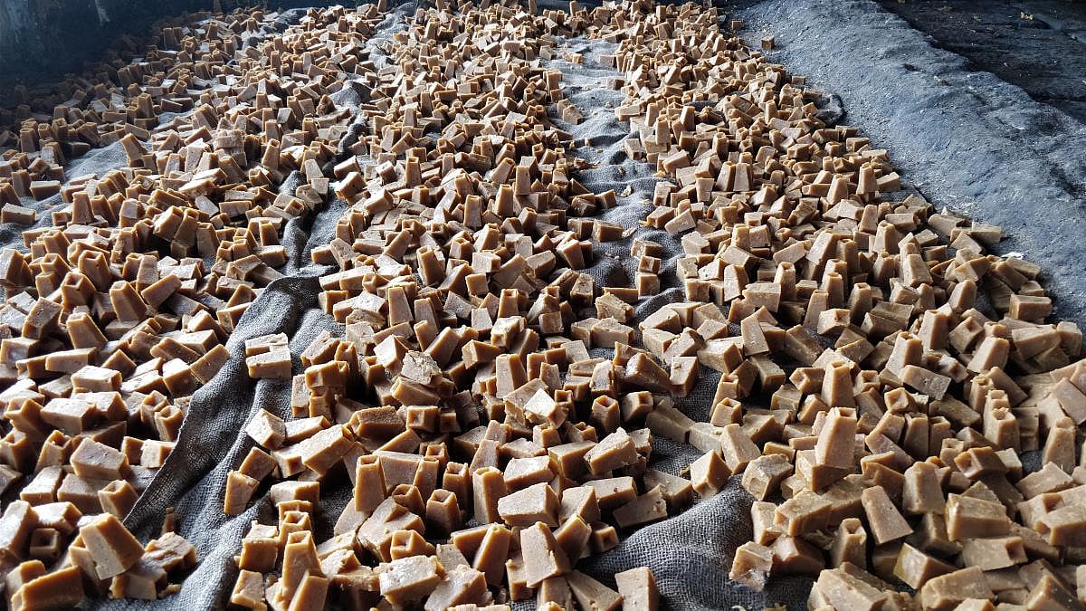 Making natural jaggery