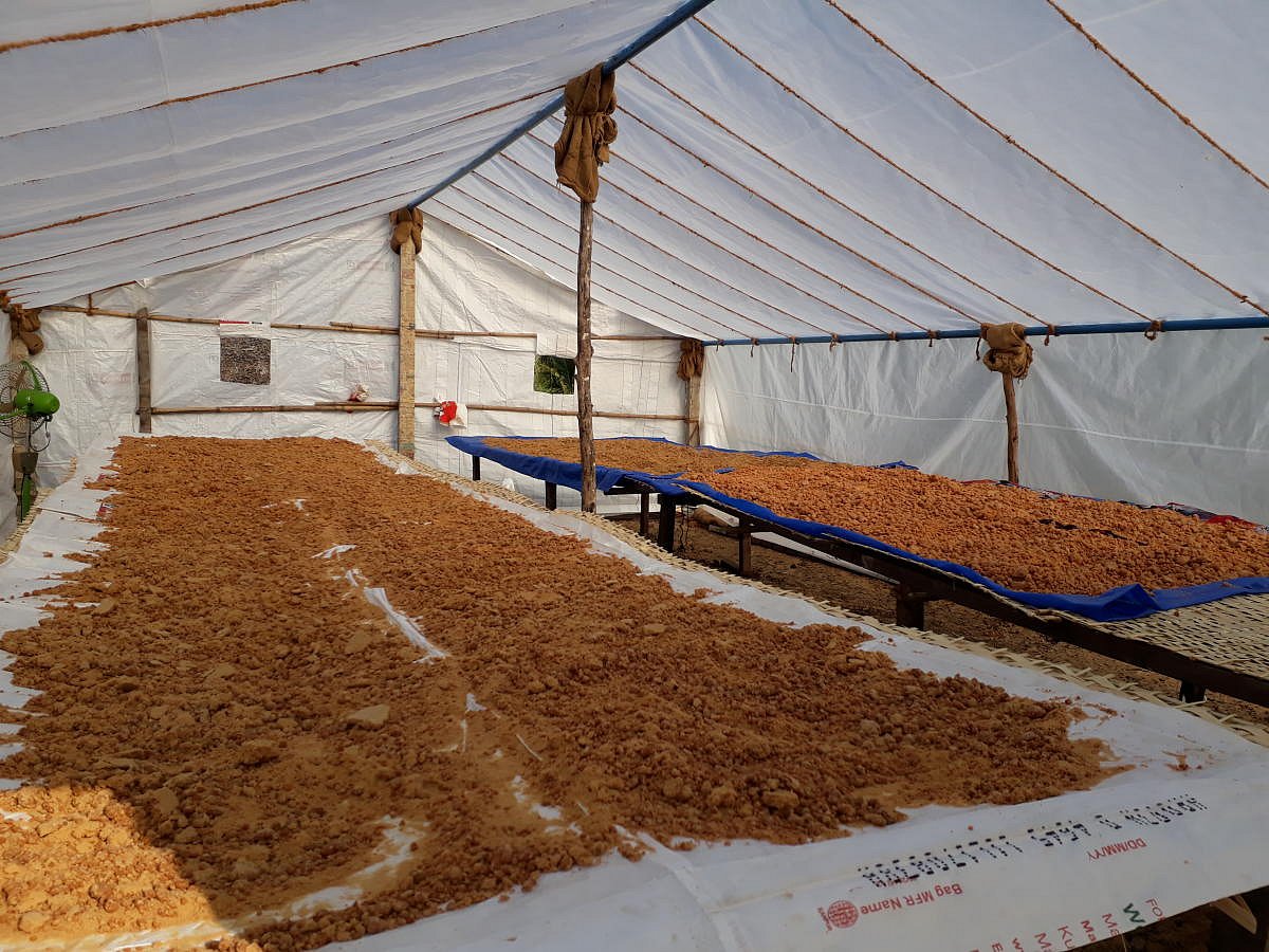 Making natural jaggery