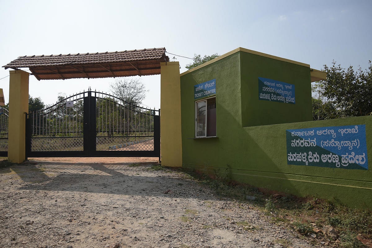 Turahalli forest spared for now as works begin on adjoining park