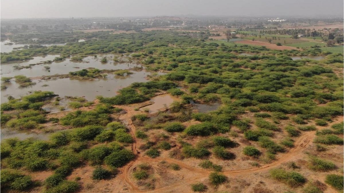 Koppal’s lakes come to life