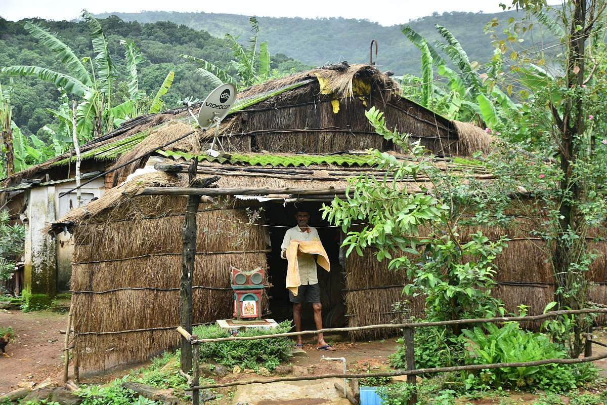 The rustic charm of Bhimgad's traditional, green houses