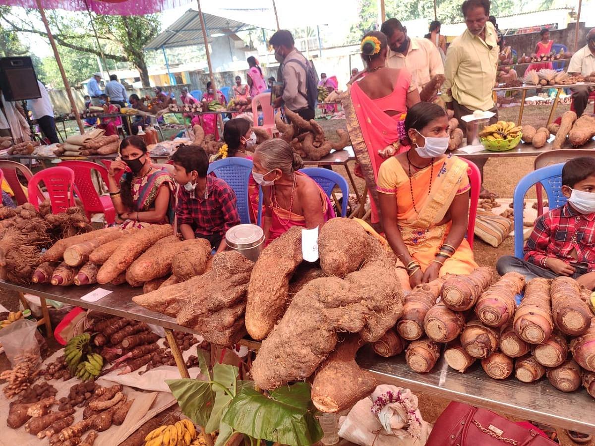 A community's roots go on display at Joida's tuber mela