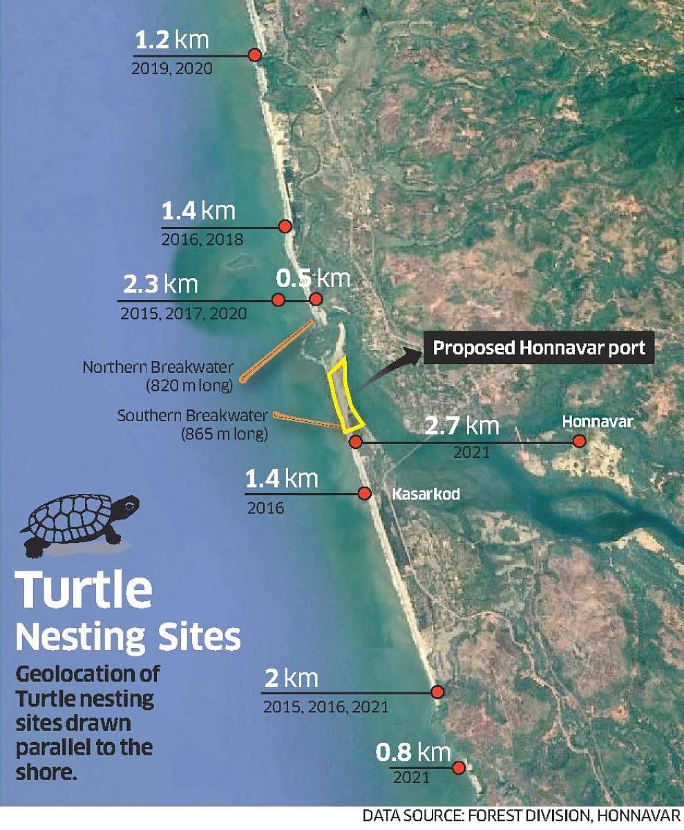 Hare-brained plans for port, road threaten sea turtle nesting grounds